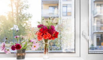 Dienas Ziņas – Svarīgākās aktualitātes Latvijā un pasaulē!